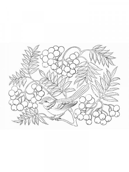 Rowan coloring pages