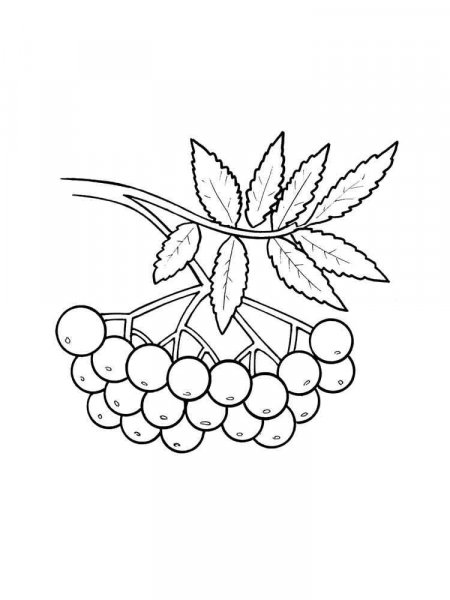 Rowan coloring pages