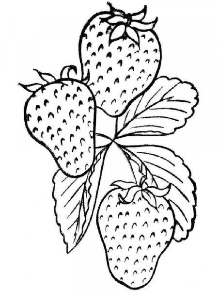 Strawberry coloring pages