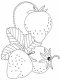Strawberry coloring pages