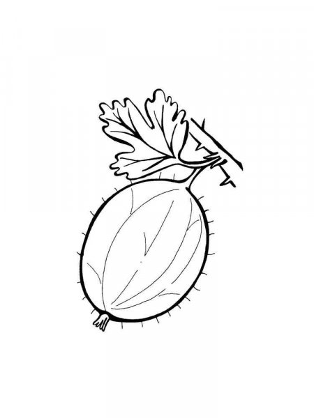 Gooseberry coloring pages