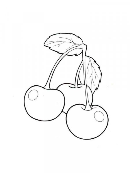Cherry coloring pages