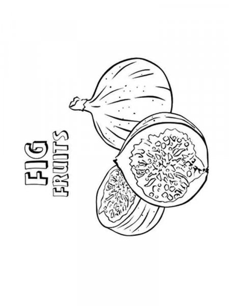 Figs coloring pages