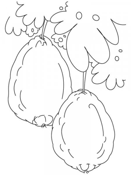 Guava coloring pages