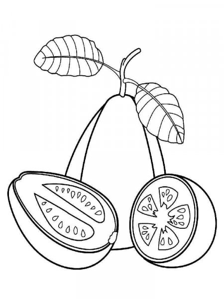 Guava coloring pages