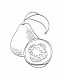 Guava coloring pages