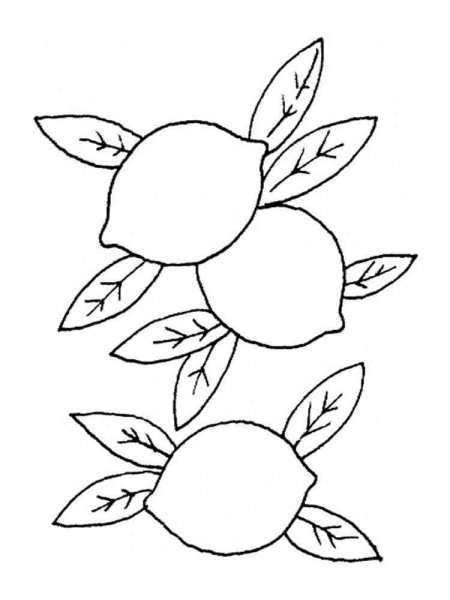 Lemon coloring pages