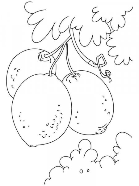 Lemon coloring pages