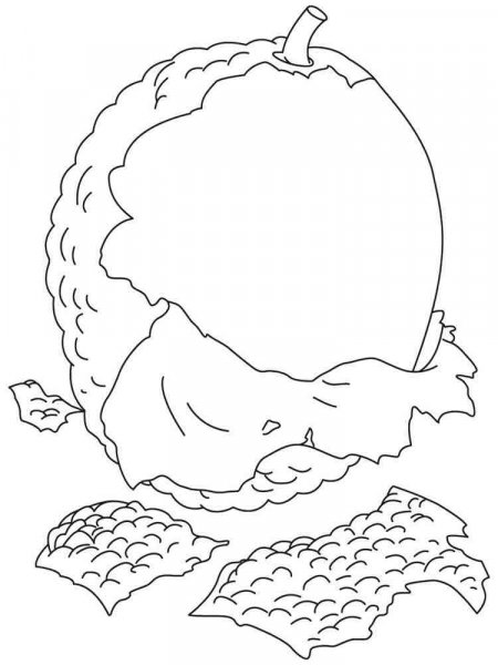 Lychee coloring pages