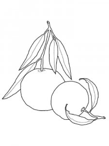 Tangerine coloring pages