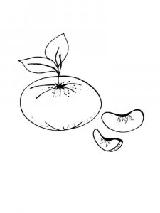 Tangerine coloring pages