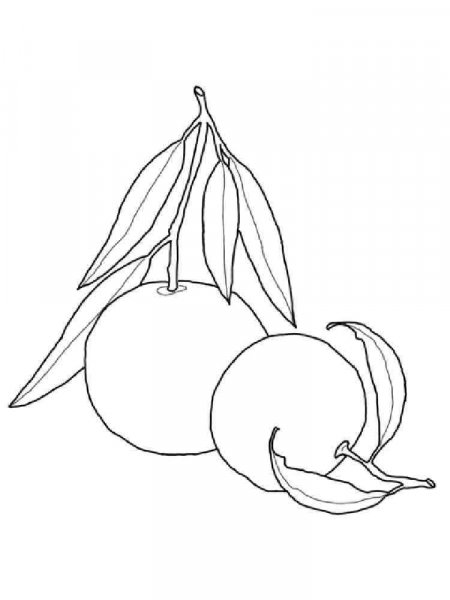 Tangerine coloring pages