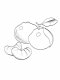 Tangerine coloring pages