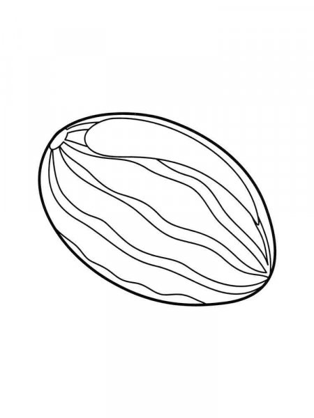 Melon coloring pages