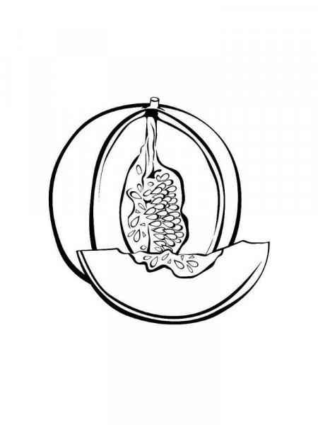 Melon coloring pages