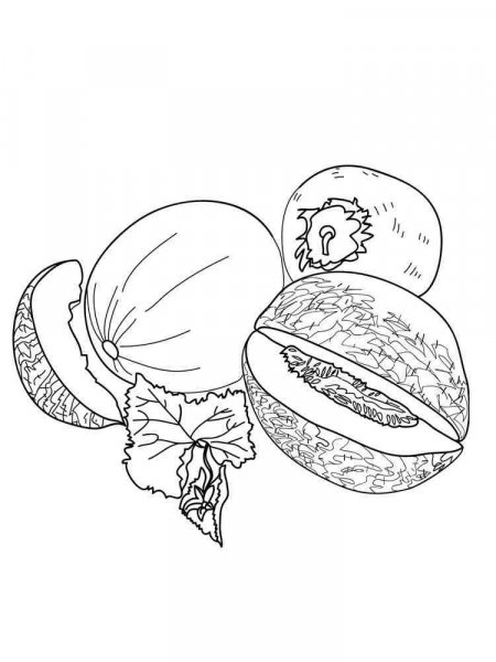 Melon coloring pages