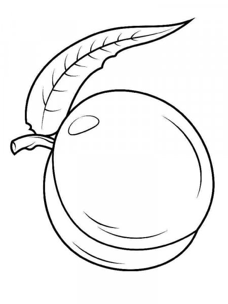 Nectarine coloring pages