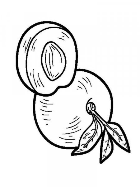 Nectarine coloring pages