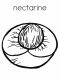 Nectarine coloring pages