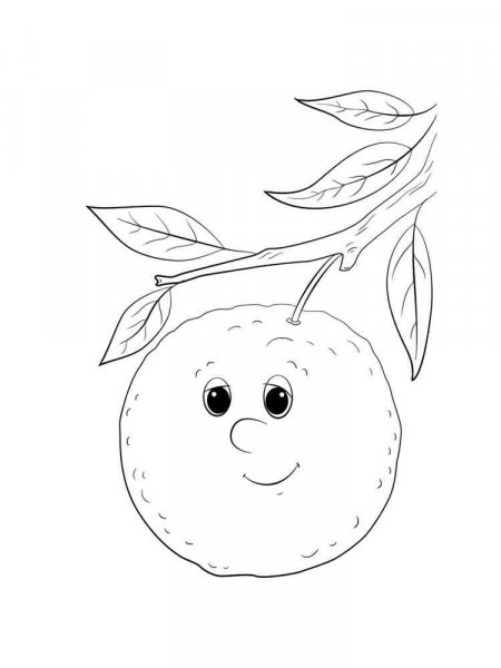 Orange coloring pages