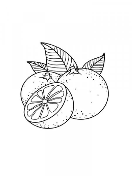 Orange coloring pages