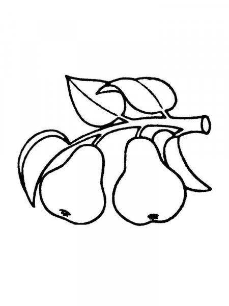 Pear coloring pages