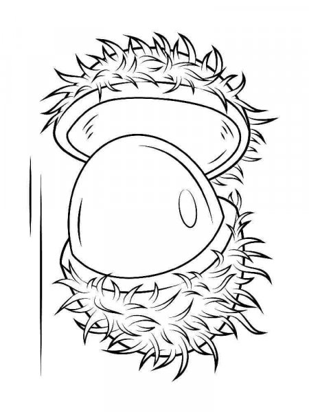 Rambutan coloring pages