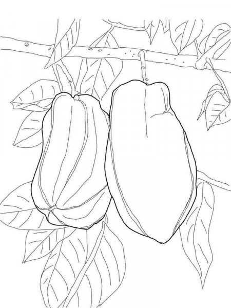 Star Fruit coloring pages