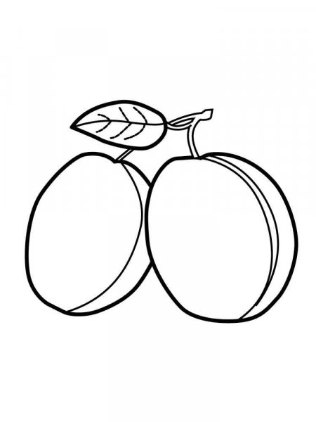 Plum coloring pages