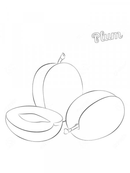 Plum coloring pages
