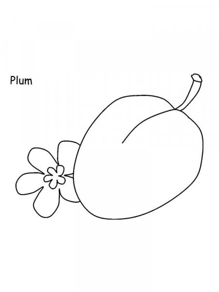 Plum coloring pages