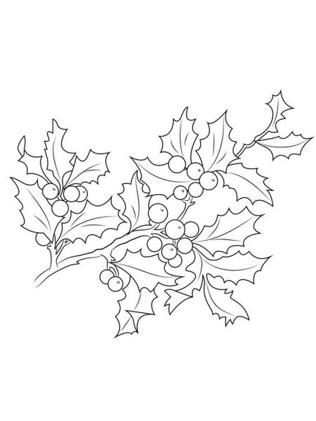 Christmas Holly coloring page - Free printable