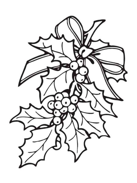 Christmas Holly coloring page - Free printable