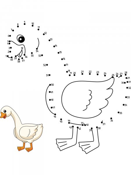 Animals Dot to Dot coloring pages