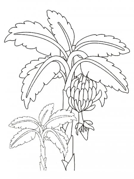Banana Tree coloring pages