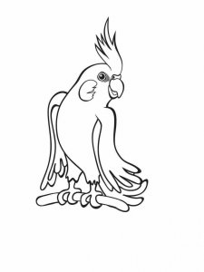 Cockatiel coloring pages