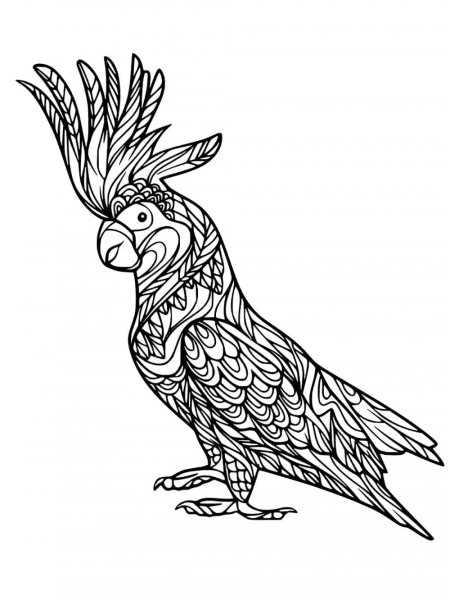 Cockatiel coloring pages