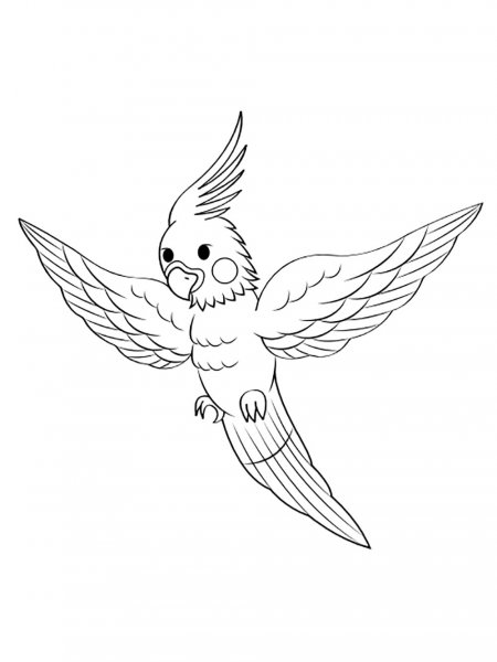 Cockatiel coloring pages