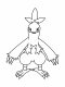 Combusken Pokemon coloring pages - Free Printable