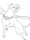 DC League of Super-Pets coloring pages