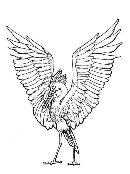 Pokemon Fearow coloring pages - Free Printable