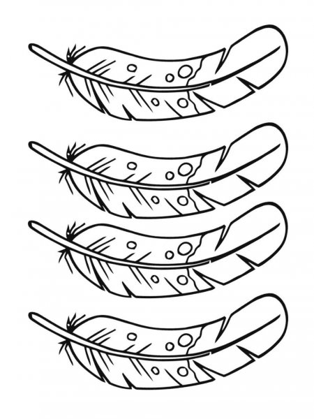 Feathers coloring pages
