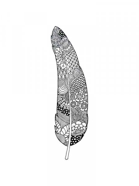 Feathers coloring pages