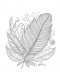 Feathers coloring pages