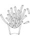 French Fries coloring pages