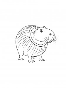 Italian Brainrot coloring pages