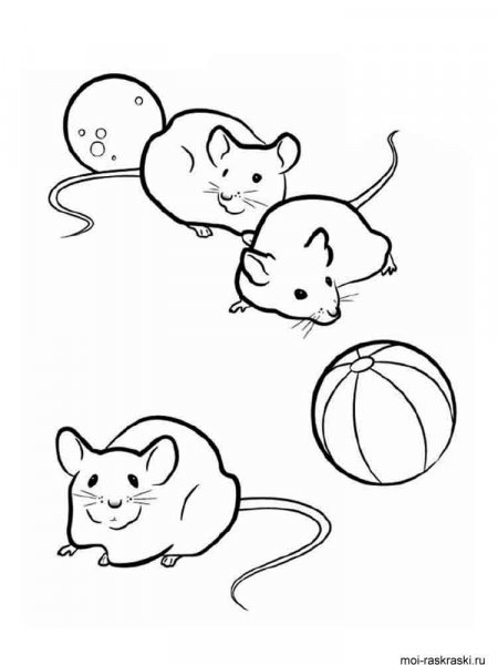 Mouse coloring pages