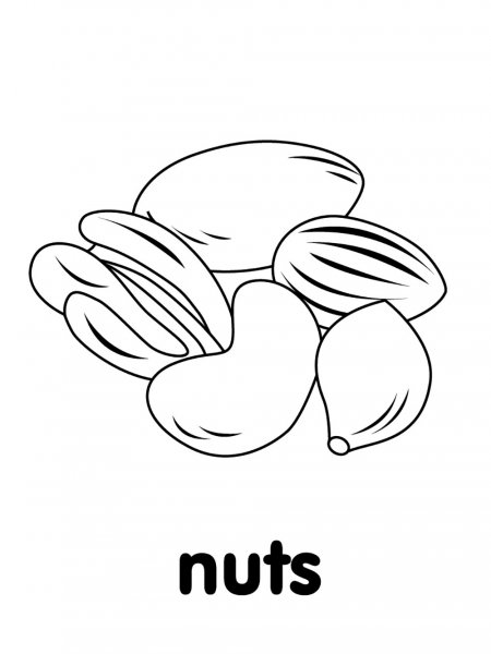 Nuts coloring pages