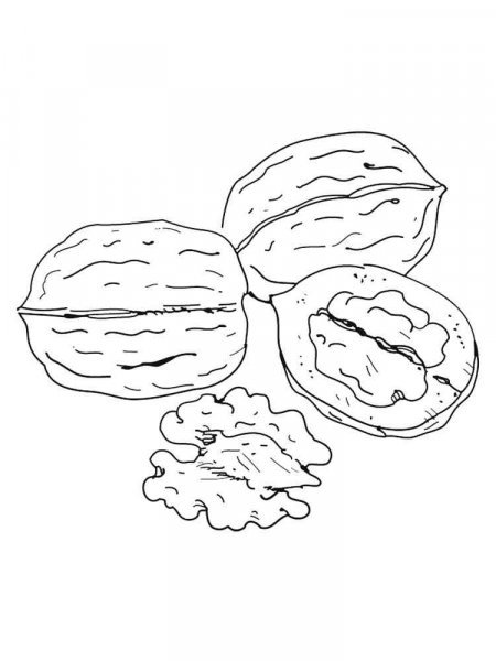 Nuts coloring pages