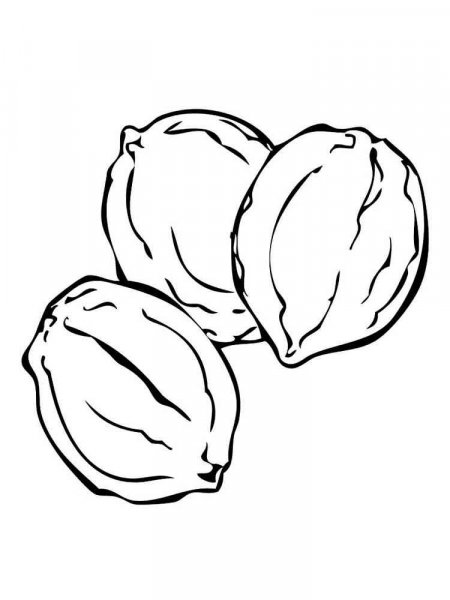 Nuts coloring pages
